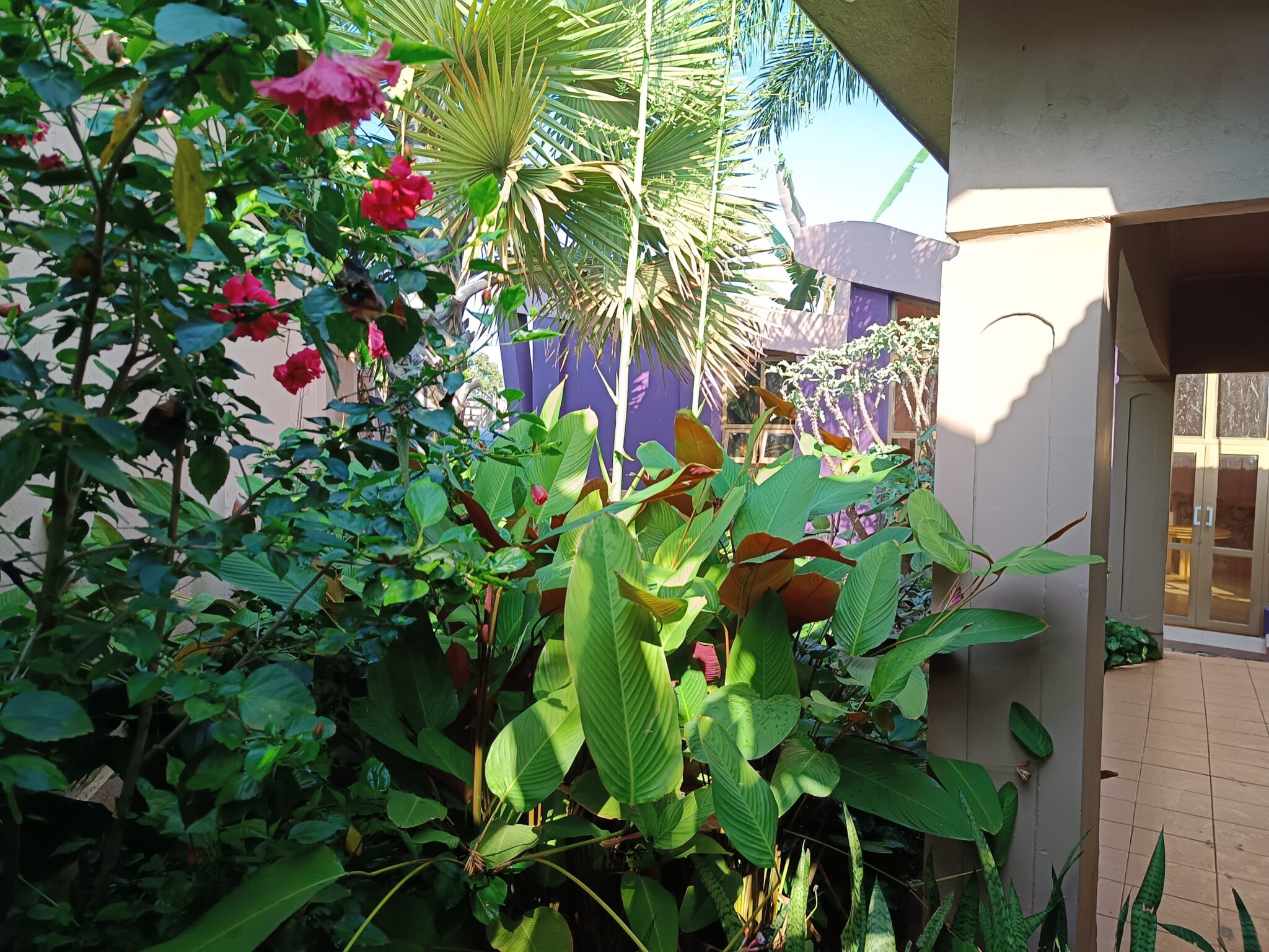 Hardscape vs. Softscape in Landscaping