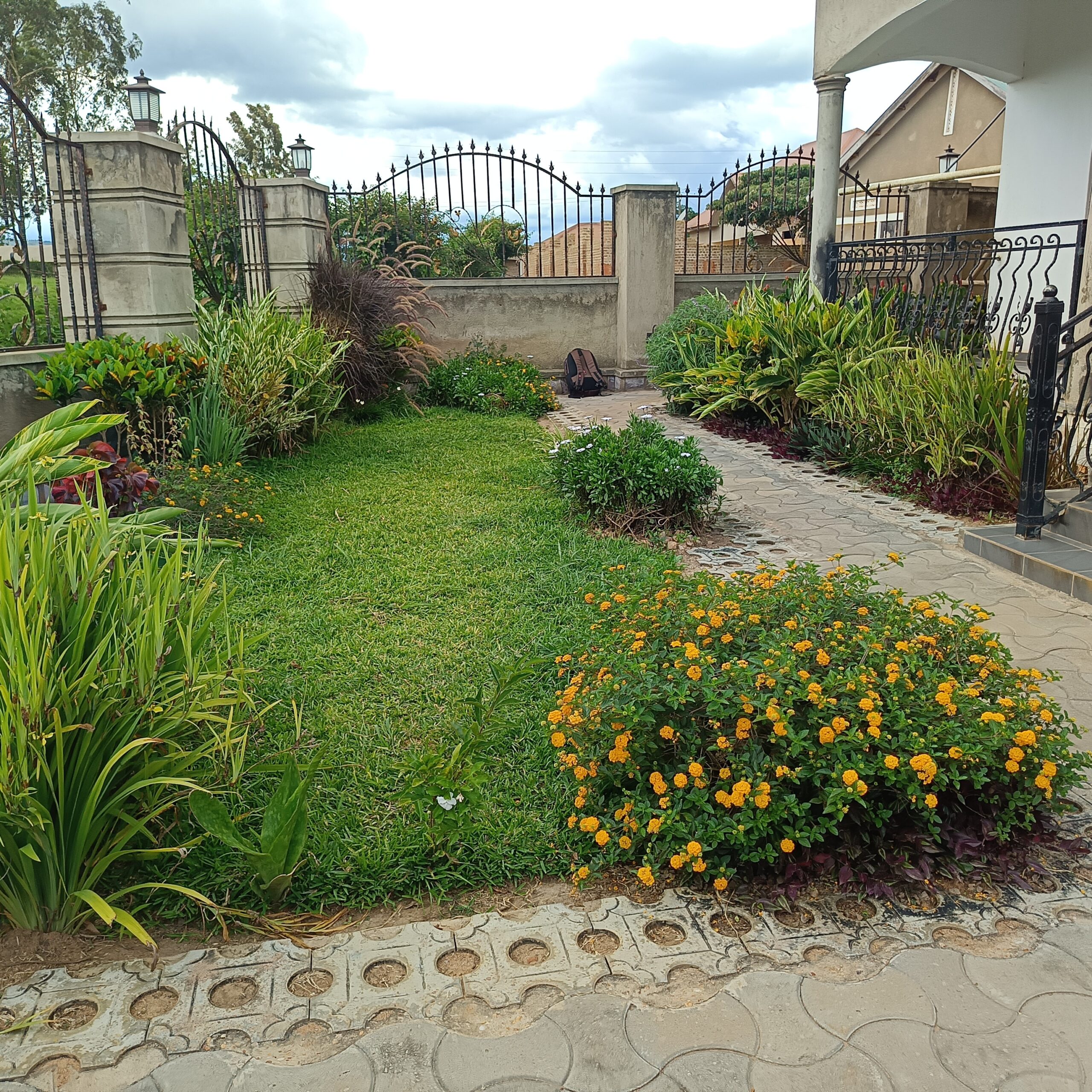 Hardscape vs. Softscape in Landscaping